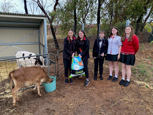 A career in the dairy industry | Fleurieu Sun